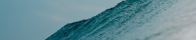 Carve Designs | Women’s Sustainable Swimsuits and Clothing